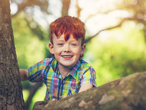 in the tree &on the tree 深入辨析_沪江英语学习网